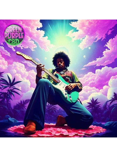 Green Purple CBD | Spécialiste en CBD